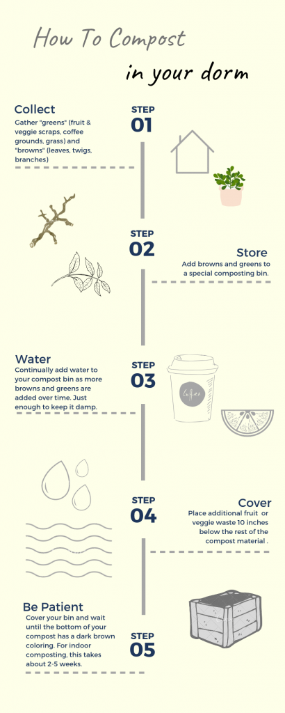 How to Compost in a Dorm – Lomabeat.com